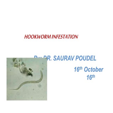 Hookworm Infestation | PPTX