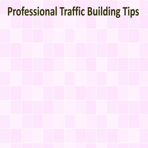 Professional Traffic Building Tips | PPTX