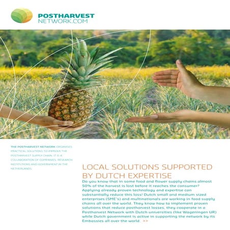 Post-harvest management: Value chain perspective on economically and ...