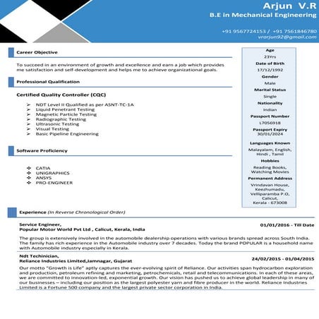 Arjun CV | PDF