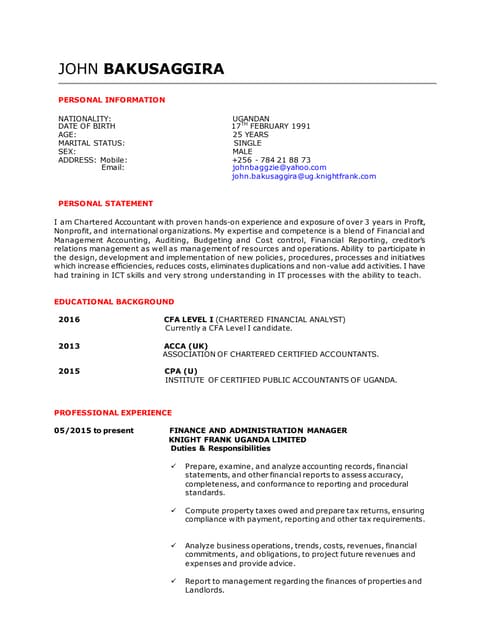 Auditor - Fully Editable ATS Resume Template.docx