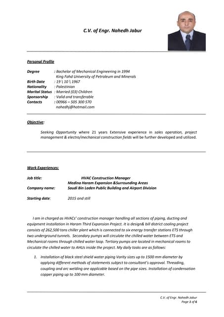 Dirk Louw - CV | PDF