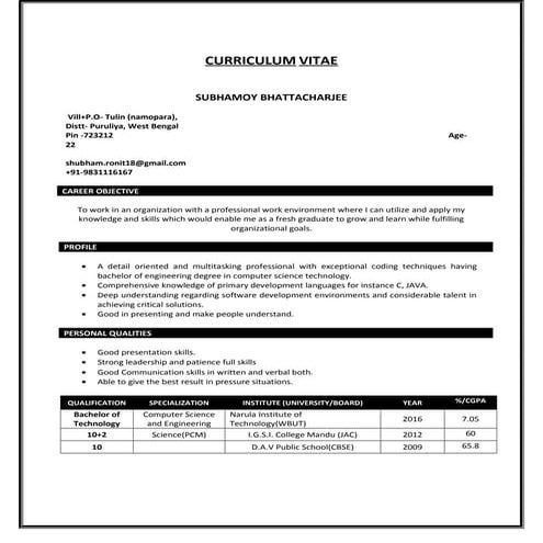 roni cv | DOC | Programming Languages | Computing