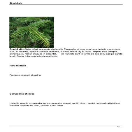 86 bradul-alb | PDF