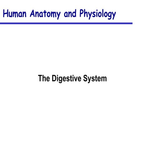 Physiology of the digestive system | PPTX