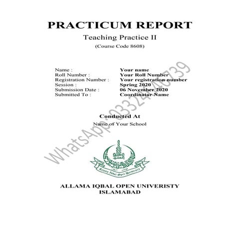 8608 Practicum Report.pdf