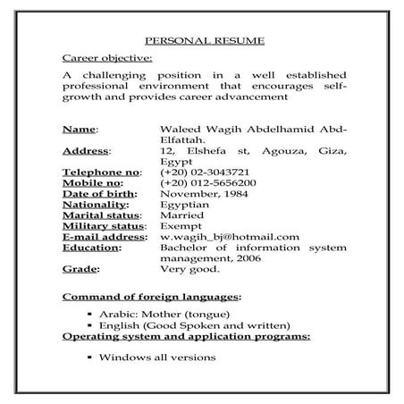 WALEED CV new - Copy | DOC
