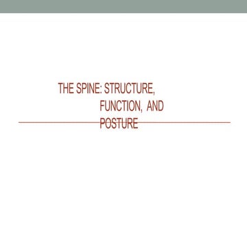 690620877-Spine-Structure-and-Function-2.ppt