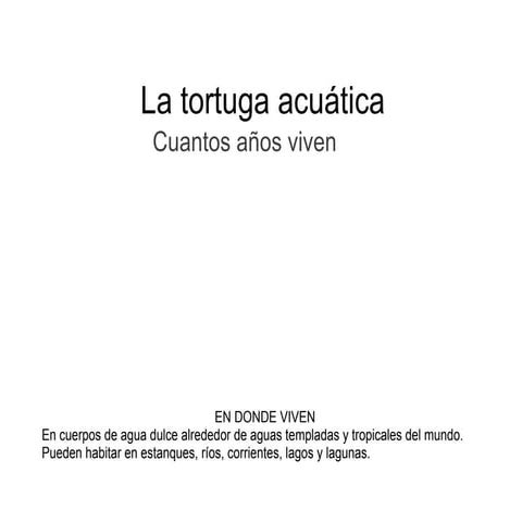 La tortuga acuática | PPT