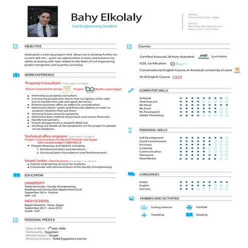 mona ragab c.v. | PPTX