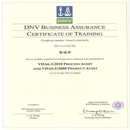 VDA6.3&6.5 audit certificate | PDF