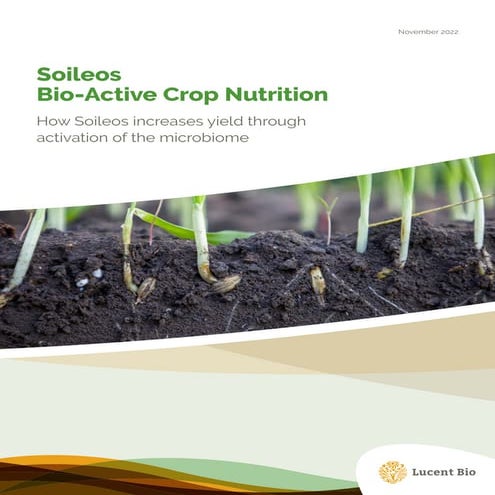 Soileos Bio-Active Crop Nutrition | PDF