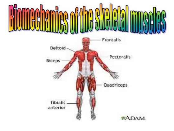 Active and Passive Insufficiency.pptx