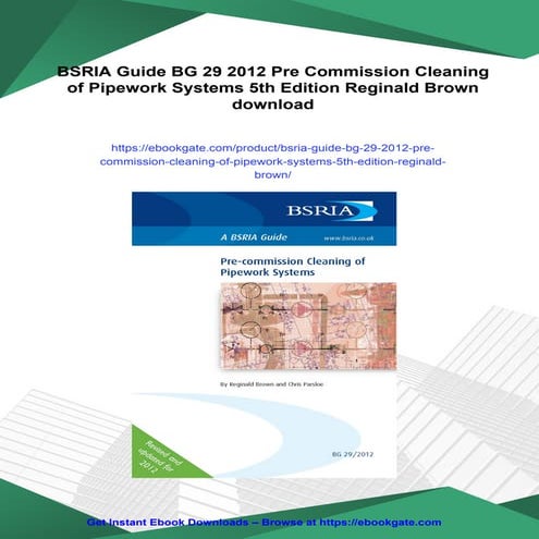 BSRIA Guide BG 29 2012 Pre Commission Cleaning of Pipework Systems 5th ...