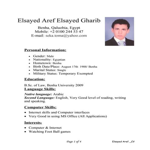 Elsayed Aref_CV Supervisor | PDF