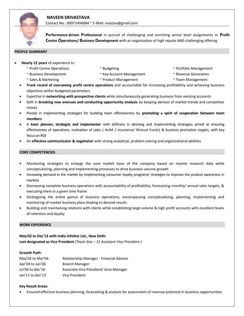 Business resume sample | PDF
