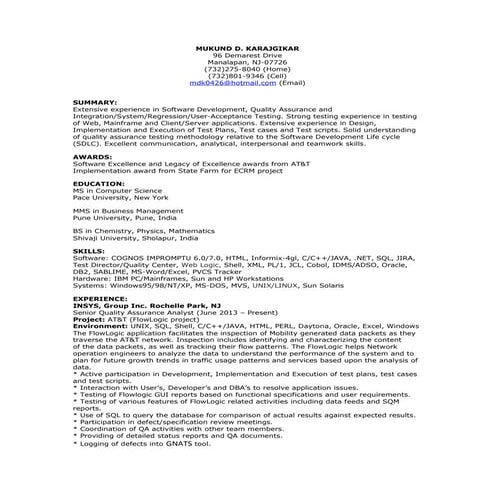 MDK_Resume | DOC
