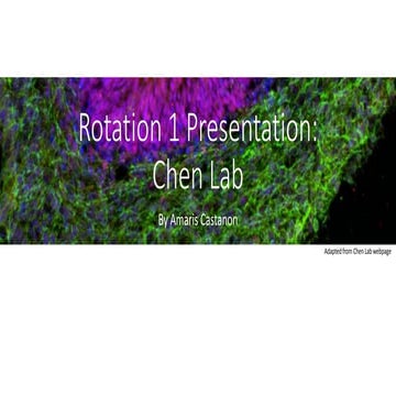 ChenLab_Rotation_Presentation | PPTX