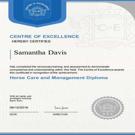 CAA Certificate 2015 | PDF