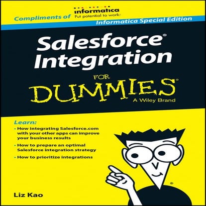 SFDC-For-Dummies | PDF