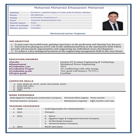 muhamad hadi CV | PDF