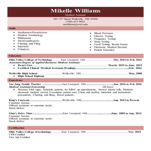 Lisa's Resume 2017 | DOCX