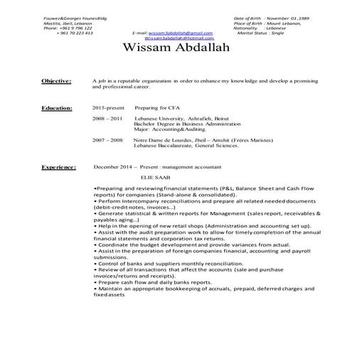 CV Wissam abdallah | PDF
