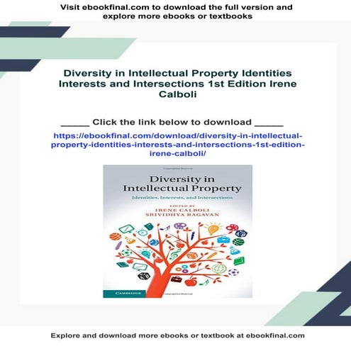 Diversity in Intellectual Property Identities Interests and Intersections 1st Edition Irene ...