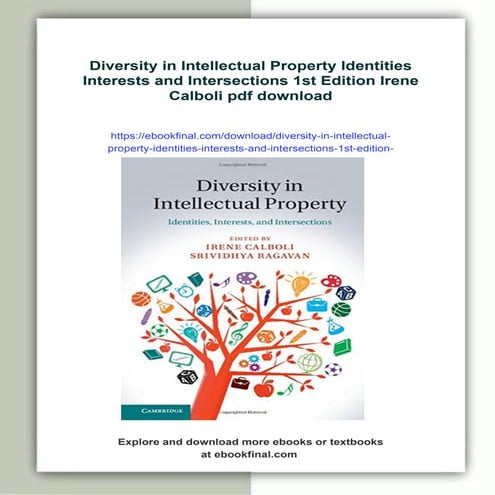 Diversity in Intellectual Property Identities Interests and Intersections 1st Edition Irene ...