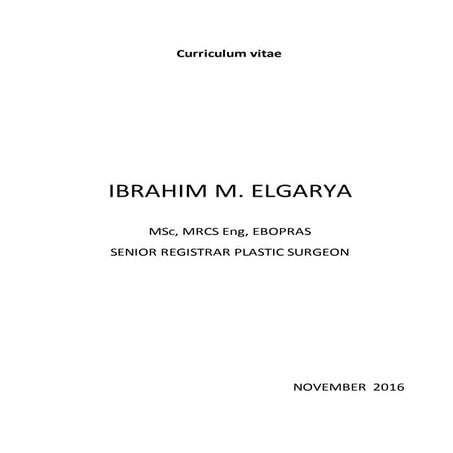 updated cv - IBRAHIM | DOCX