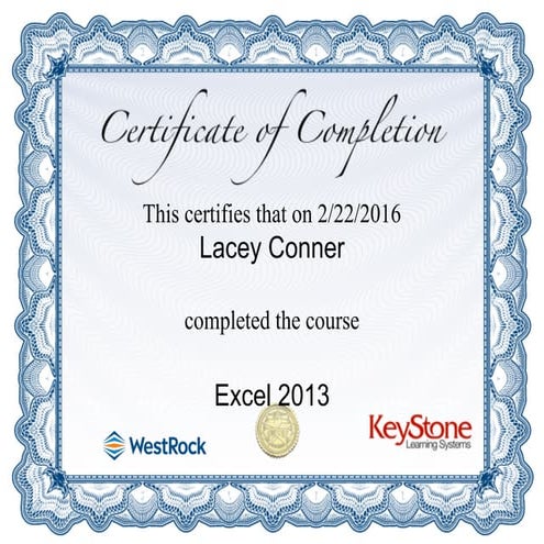 Excel 2013 Certificate | PDF | Computer Software and Applications ...