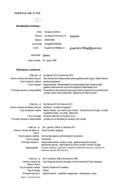 Cv formato | PDF