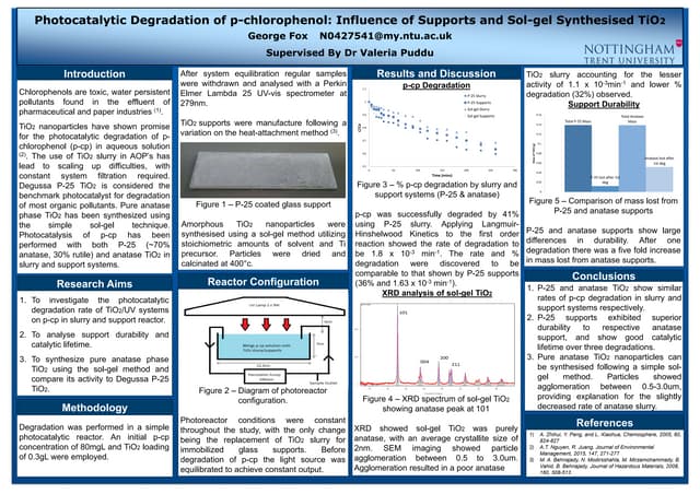 Sports Nutrition Poster | PDF