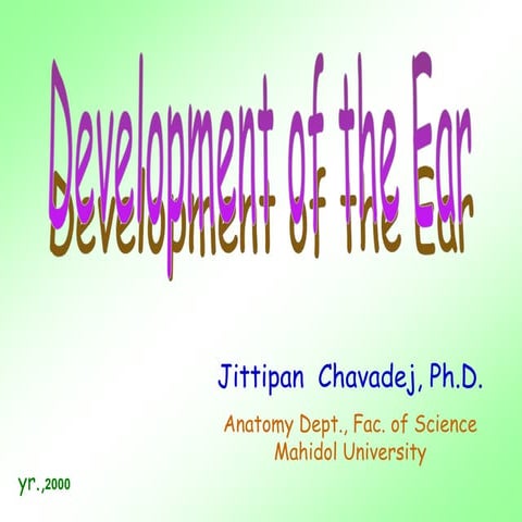 Ear development | PPT