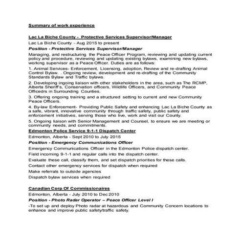 Summary of work experience | PDF