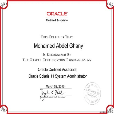 Mohammed Mohammed Zaki OCP | PDF