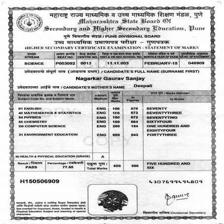 Higher_Secondary_School_Certificate_Examination_2015 | PDF