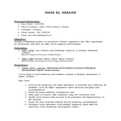 anas cv updated 2 (1) | DOCX