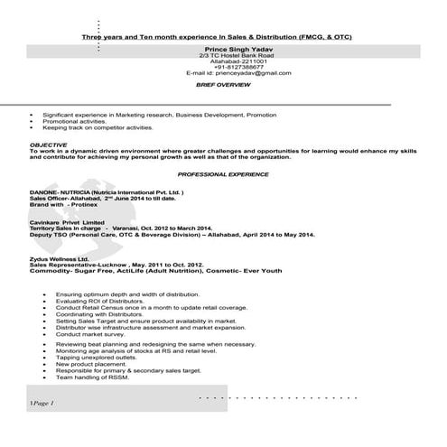 Prince Resume | DOC | Business Administration | Business