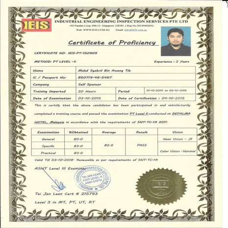 PT LEVEL II-min | PDF