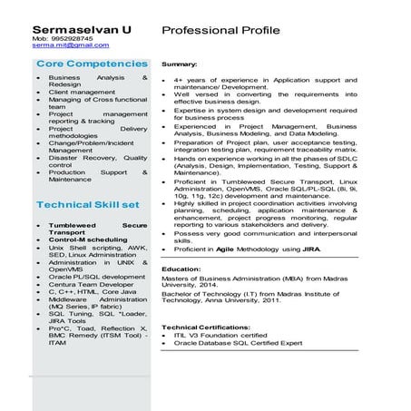 ASHISH CV | PDF