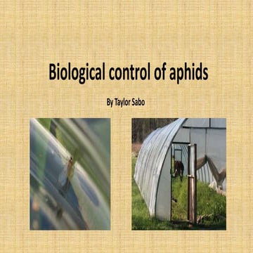 Insect as sensor of pollution | PPTX