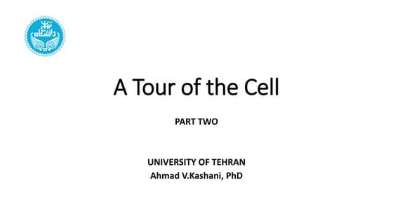 6 - A tour of the cell - Part Three | PPT