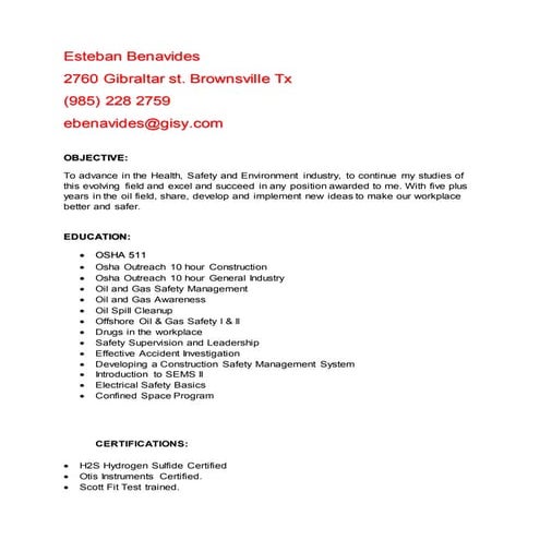 nikki new resume | DOCX