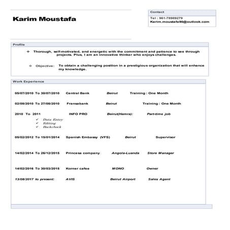 karim cv 2017777777 (1) | PDF