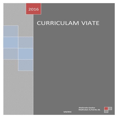 CV2016 | DOCX | Resume Writing and Advice | Job Search