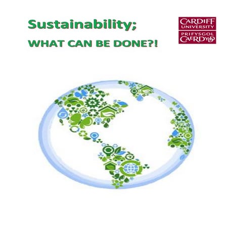 Sustainability Project | PDF