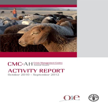 CMC-AH Activity Report_October 2010- September 2012 | PDF