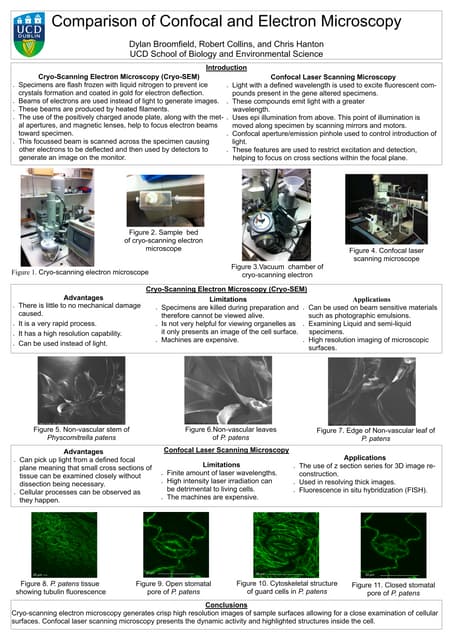 Cryo electron microscopy | PPT | 3-D Graphics | Computer Software and ...