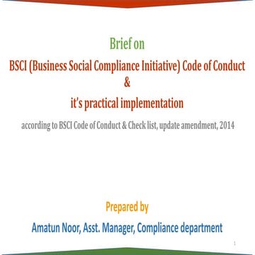 BSCI Guideline | PDF